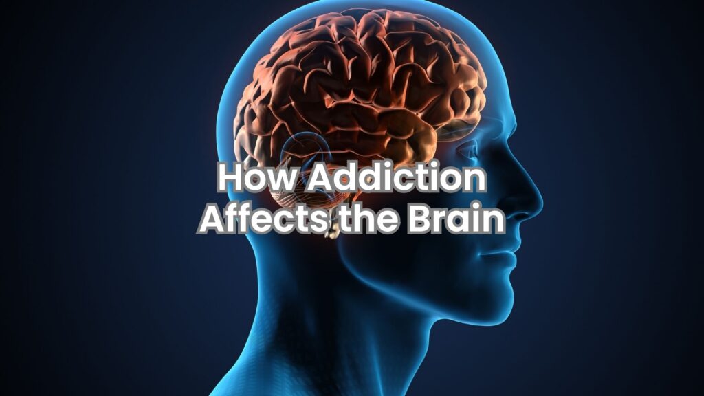 Understanding Drug and Alcohol Addiction: Science, Symptoms and Recovery